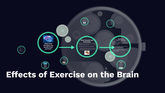 Effects of Exercise on the Brain by Mauricio Benavides on Prezi