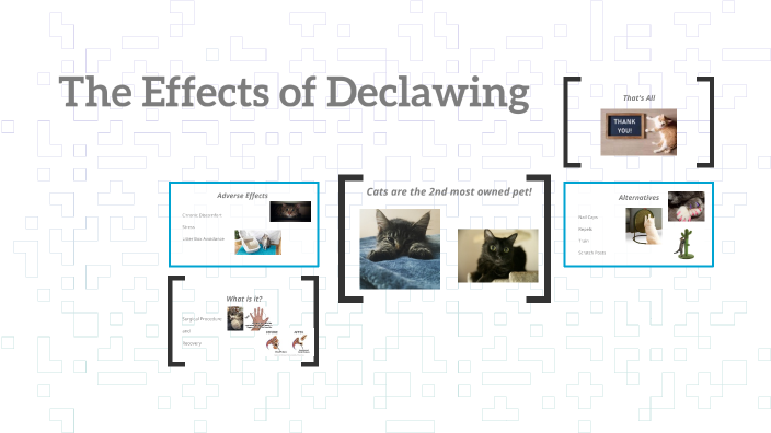The Effects of Declawing by kimberly ketcham on Prezi