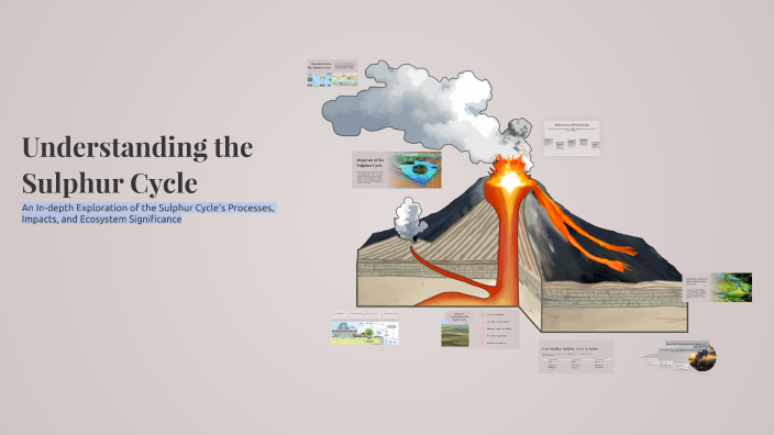 Understanding the Sulphur Cycle by Felipe G. on Prezi