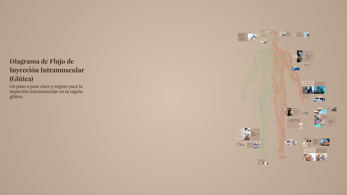 Diagrama de Flujo de Inyección Intramuscular (Glútea) by Rosaura ...