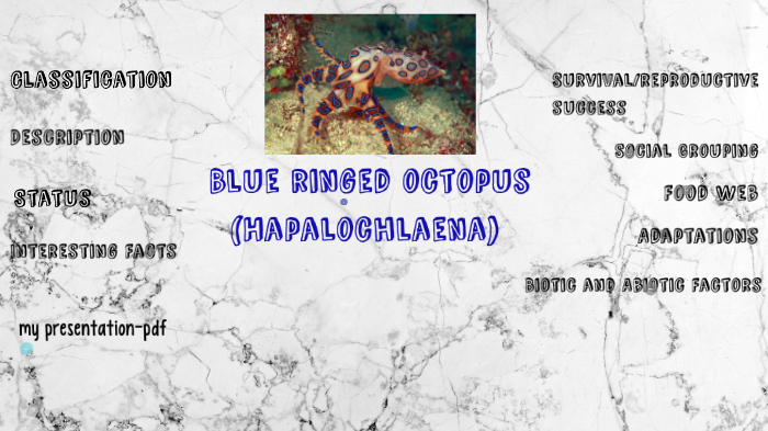 Blue Ringed Octopus Research Poster by S T on Prezi