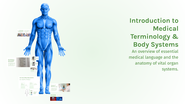 Introduction to Medical Terminology & Body Systems by steven blackwell ...