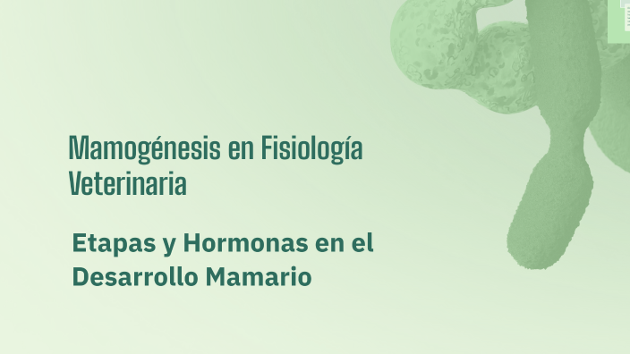 Mamogénesis en Fisiología Veterinaria by Cristal Accinelli on Prezi