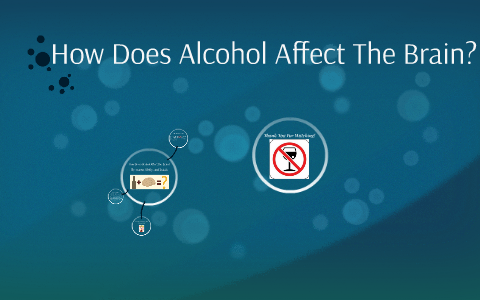 How Does Alcohol Affect The Brain? by Molly Phan on Prezi