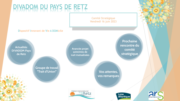 DIVADOM comité stratégique 16 juin 2023 by Laurianne Dugué on Prezi