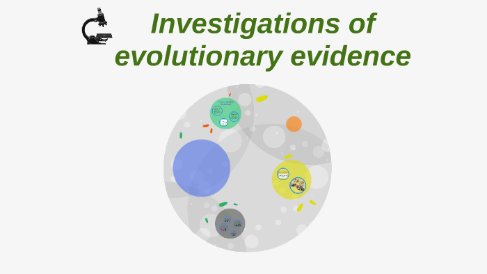 Investigations of evolutionary evidence by Ajla Latic on Prezi