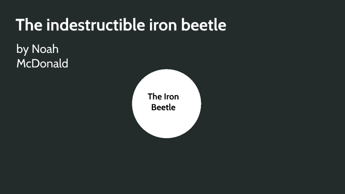 The indestructible iron beetle by Noah McDonald on Prezi