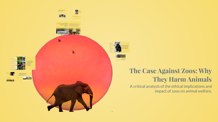 The Case Against Zoos: Why They Harm Animals by M Vallina on Prezi