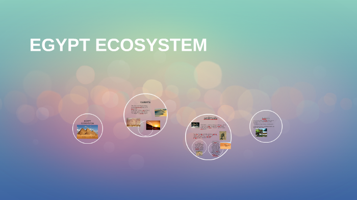 EGYPT ECOSYSTEM by alicia arias on Prezi