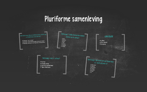 Pluriforme samenleving by Ilze Kremer on Prezi