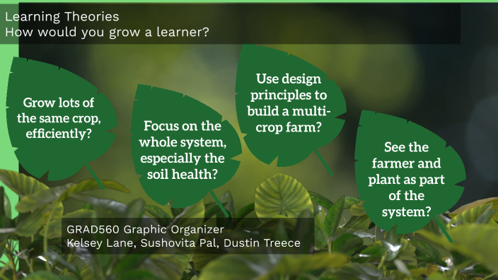 Learning Theories - How would you grow a learner? by Kelsey Lane on Prezi