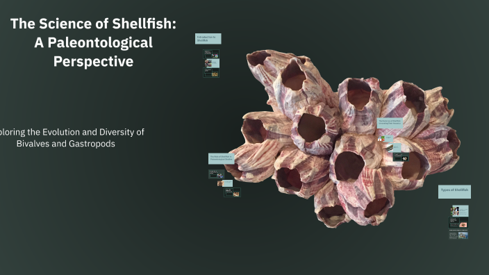 The Science of Shellfish: A Paleontological Perspective by Joško Ribić ...