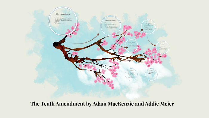 The Tenth Amendment by Adam M by Addie Meier on Prezi