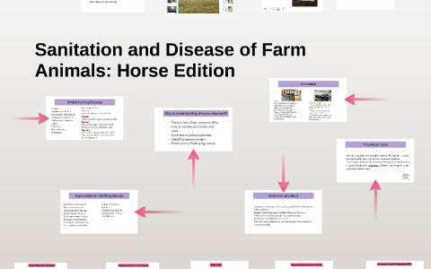 Sanitation and Disease of Farm Animals: Horse Edition by April T on Prezi