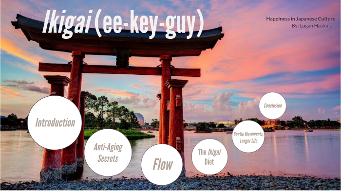 Ikigai by Logan Haskins on Prezi
