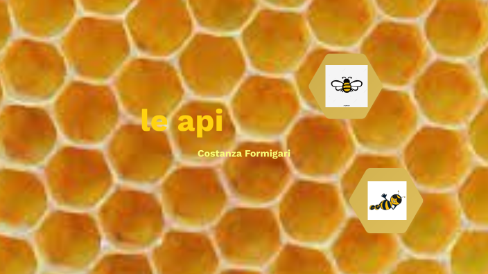 api by benedetta formigari on Prezi