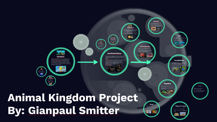 Animal Kingdom Project by Gianpaul Smitter on Prezi