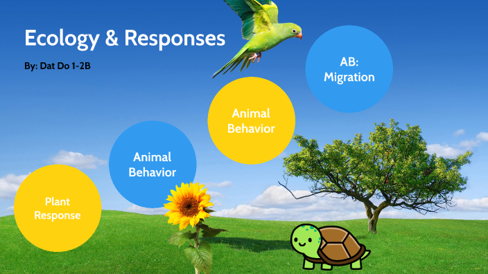 Ecology and Responses Summative Modeling Project- Dat Do by Dat Thanh ...