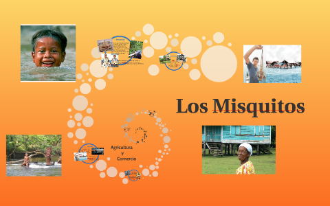 Los Misquitos by mario estevez on Prezi