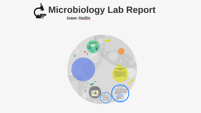 Microbiology Lab Report by chap hollin on Prezi