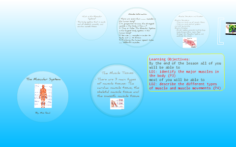 Unit 4 - The Muscular System (Btec First Diploma: Level 2) by alison ...