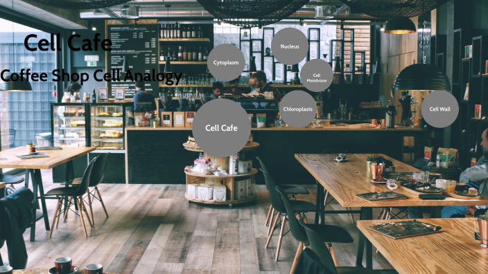 Cell Cafe Coffee Shop Cell Analogy by Olivia Phillips on Prezi