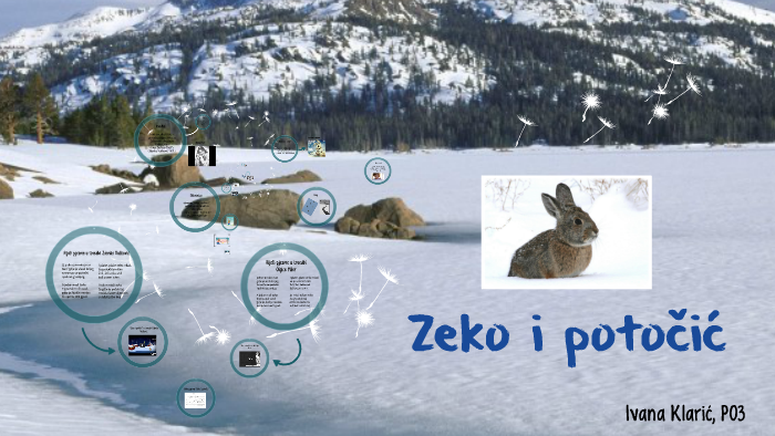 Zeko i potočić by Ivana Klaric on Prezi
