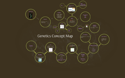 Genetics Concept Map by Griffin Goode on Prezi