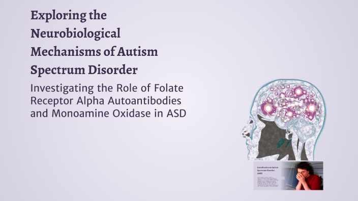 Exploring the Neurobiological Mechanisms of Autism Spectrum Disorder by ...