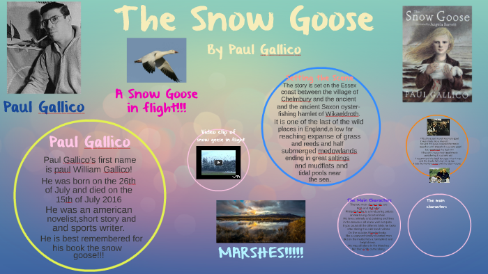 The Snow Goose by Ella O'Reilly on Prezi