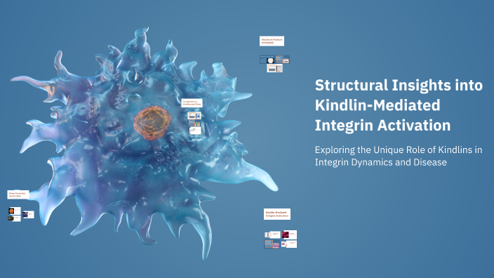 Structural Insights into Kindlin-Mediated Integrin Activation by Amanda ...