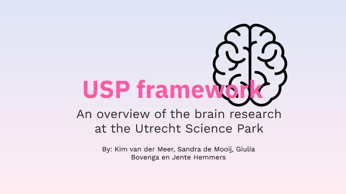 USP framework by Jente Hemmers on Prezi