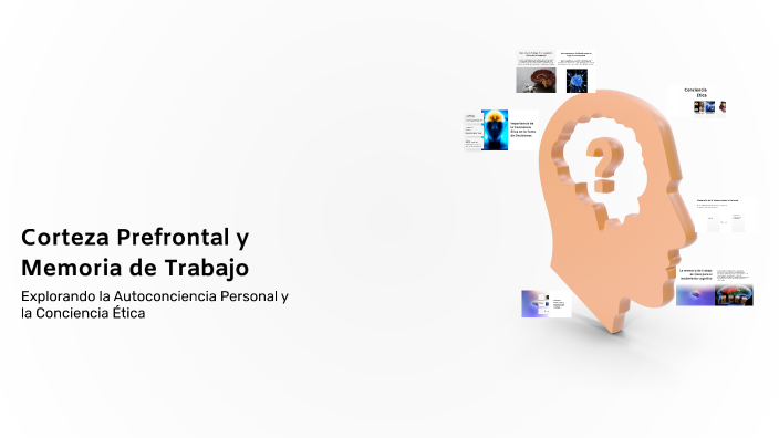 Corteza Prefrontal y Memoria de Trabajo by Laura Danai Mamani Quispe on ...