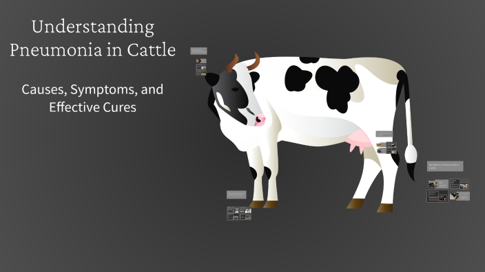 Understanding Pneumonia in Cattle by partizar on Prezi