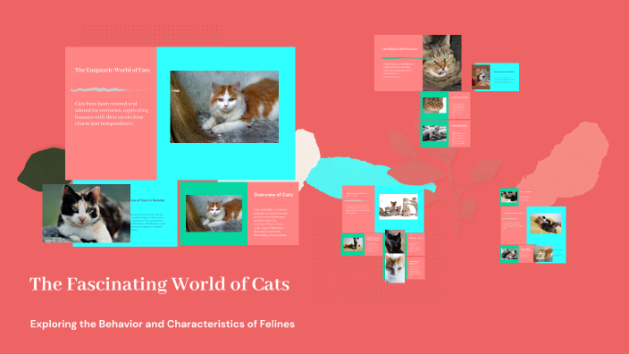 The Fascinating World of Cats by m.ramar M.ramar on Prezi