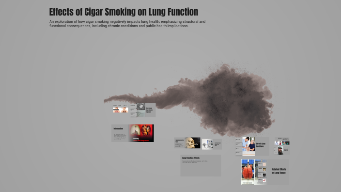 Effects of Cigar Smoking on Lung Function by Tolulope Shote on Prezi