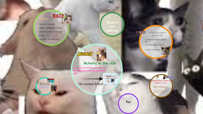 Cat meme club by An Bao Le on Prezi