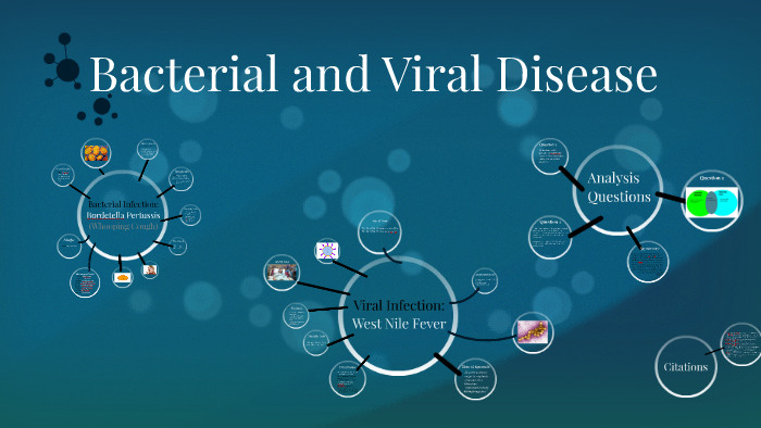 Bacterial and Viral Disease by Alex Fruge on Prezi