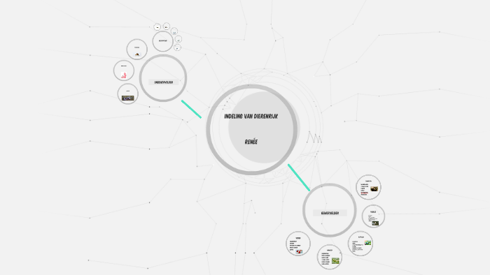 indeling van dierenrijk by 6de Gits on Prezi