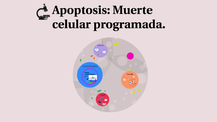 Apoptosis: Muerte celular programada. by Daniela Vargas on Prezi