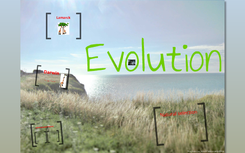 Evolution by Mrs Dalby on Prezi