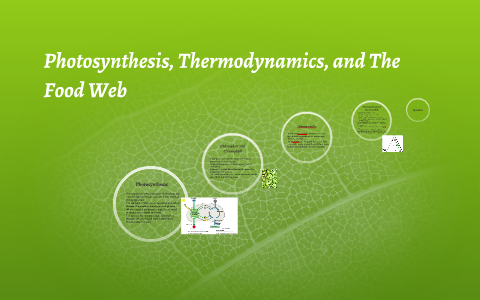 Photosynthesis and Thermodynamics by Sarah Calhoun on Prezi