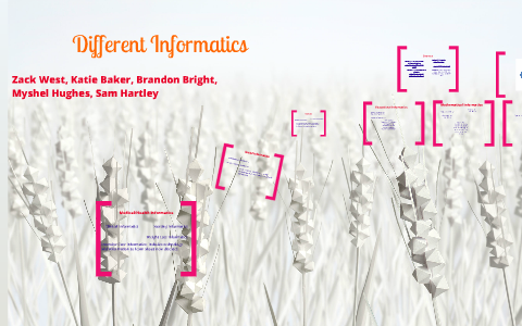 Types of Informatics by Katie Baker on Prezi