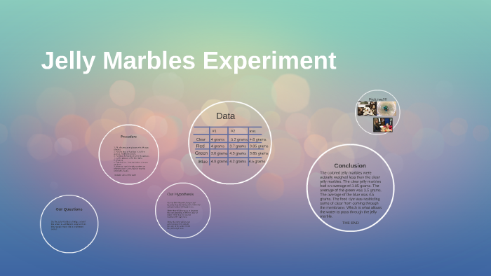 Jelly Marbles Experiment by amity science on Prezi