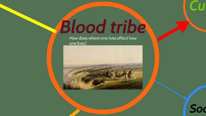 How does where one live effect how one lives by liam coady on Prezi