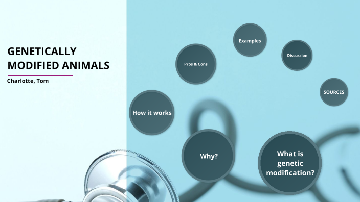 Genetic Modified Animals by Tom Brach on Prezi