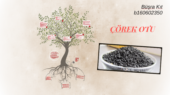ÇÖREK OTU by Kübra Kıt on Prezi