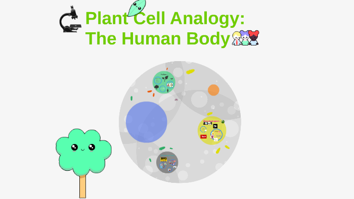 Plant Cell Analogy: The Human Body by Hazel McCarthy on Prezi