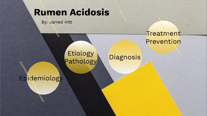 Rumen Acidosis/Indigestion by Jarred Hitt