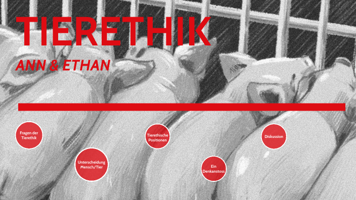 Tierethik by Ann Weber on Prezi